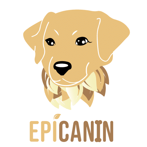 Notre Histoire - Epicanin