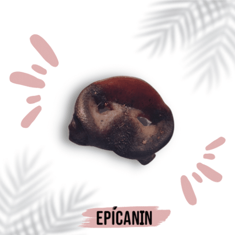 Groins de Porc - 220g 🐷 - Epicanin